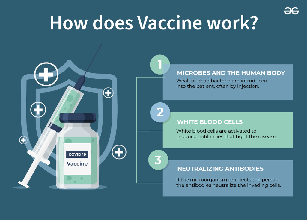 Importance of Vaccines, Vaccination and Immunization - GeeksforGeeks