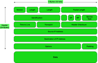 What is Internet Protocol (IP)? - GeeksforGeeks
