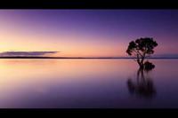 Image Arithmetic in R - GeeksforGeeks