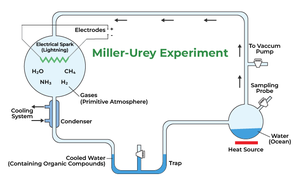 Urey-Miller Experiment -Diagram - GeeksforGeeks
