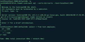 How to Install CockroachDB Cluster on Debian 12 - GeeksforGeeks