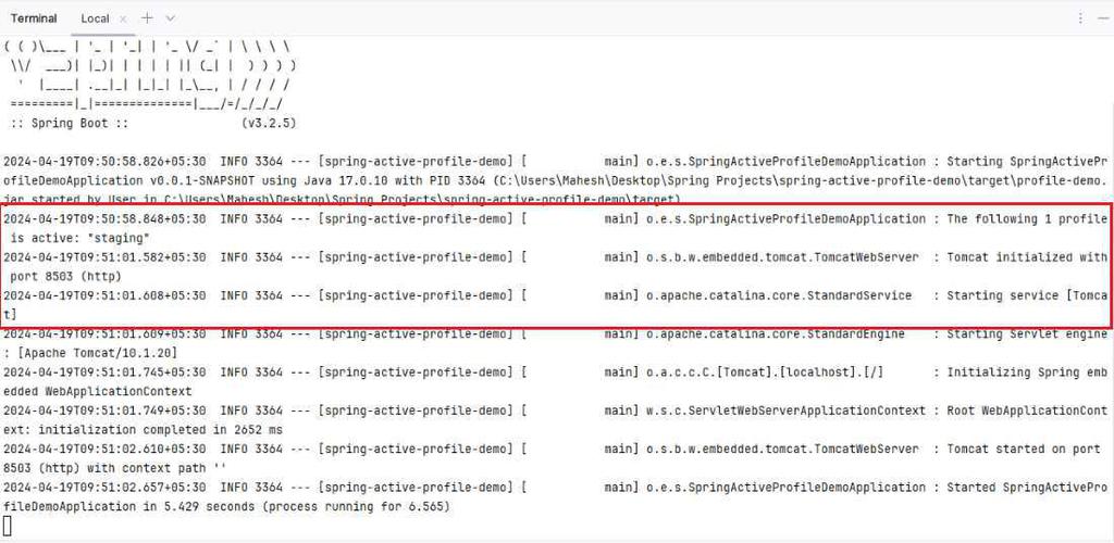 Setting Active Profile and Config Location from Command line in Spring ...