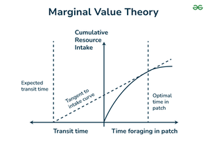 Optimal Foraging Theory Overview - GeeksforGeeks
