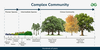 Climax Community - GeeksforGeeks