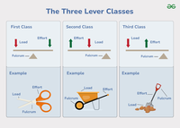 Types of Lever - GeeksforGeeks