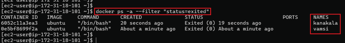 How to Continue a Docker Container Which has Exited - GeeksforGeeks