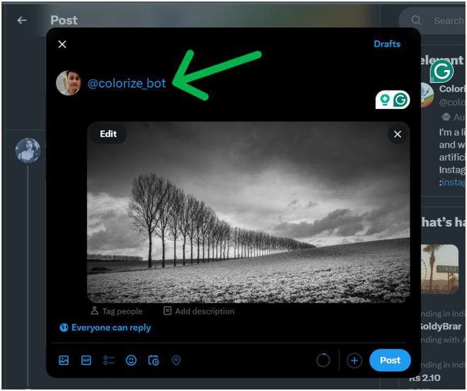 10 Best Twitter Bots You Should Follow in 2024 - GeeksforGeeks