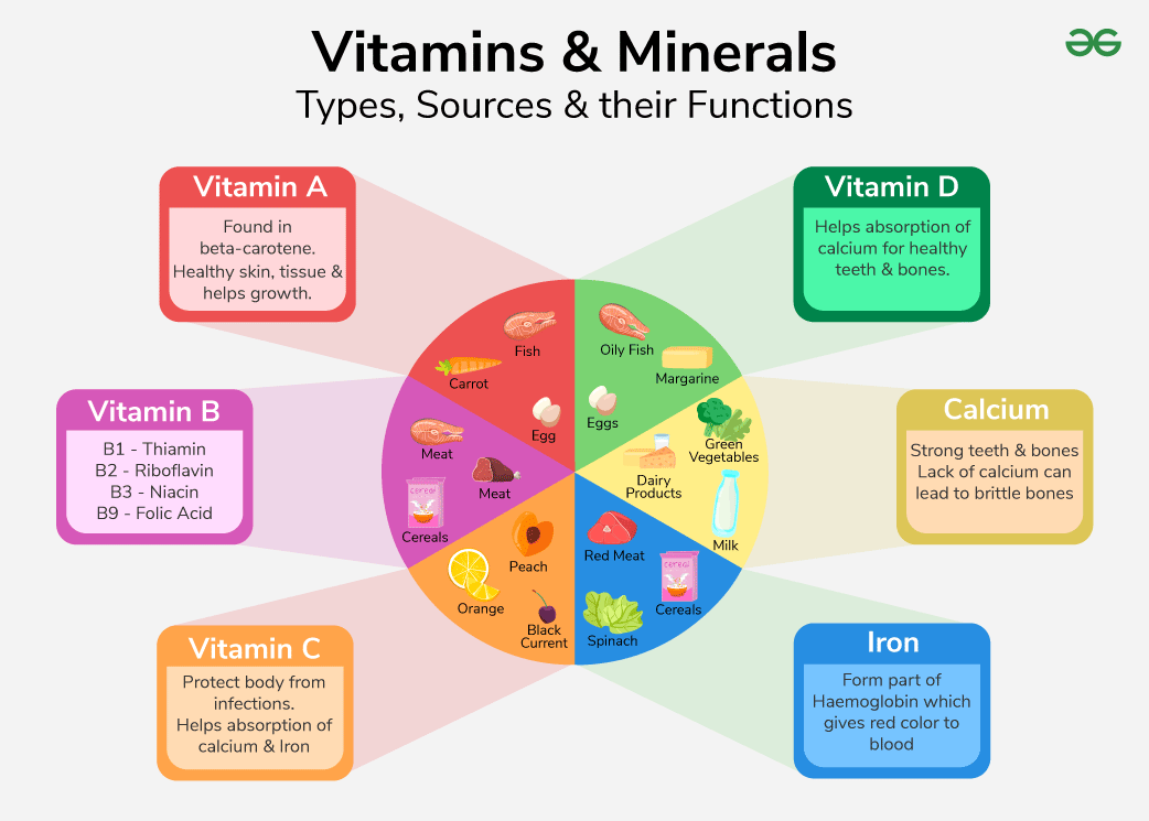 Vitamins And Minerals GeeksforGeeks Vitamins And Minerals GeeksforGeeks