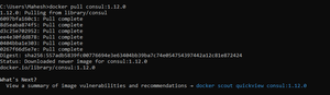 Dynamic Service Discovery and Load Balancing with Consul - GeeksforGeeks