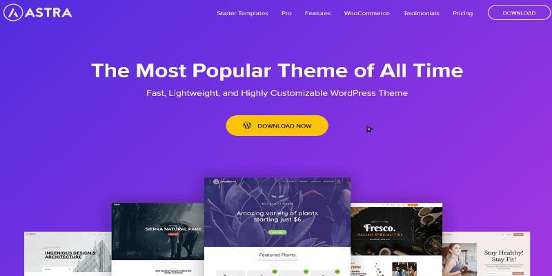 What are the Best WordPress Themes? - GeeksforGeeks