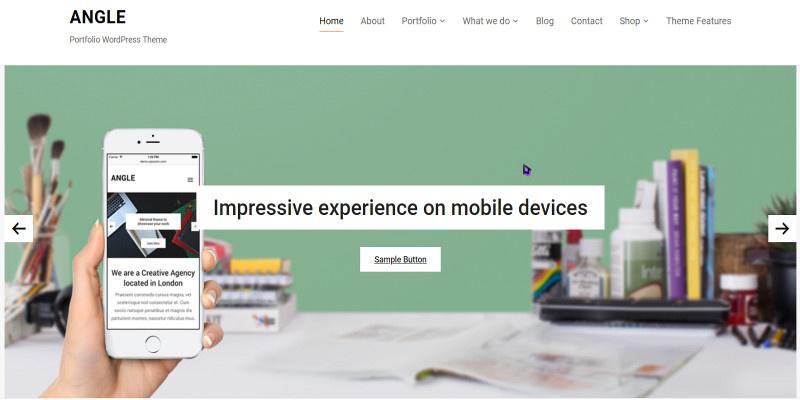 What are the Best WordPress Themes? - GeeksforGeeks