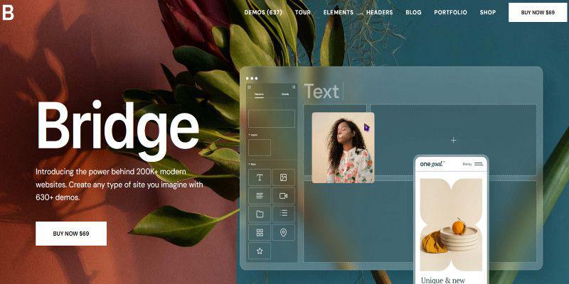 What are the Best WordPress Themes? - GeeksforGeeks