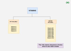 What are Vitamins? -Types, Sources, and Deficiency Diseases - GeeksforGeeks