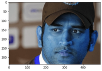 Feature extraction and image classification using OpenCV - GeeksforGeeks