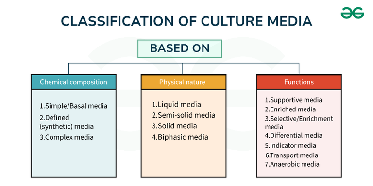 Classification of Culture Media - GeeksforGeeks