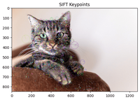 What is the difference between SIFT and SURF? - GeeksforGeeks