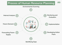 Human Resource Planning (HRP): Meaning, Process, and Examples ...