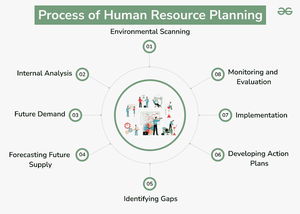 Human Resource Planning (HRP): Meaning, Process, and Examples ...