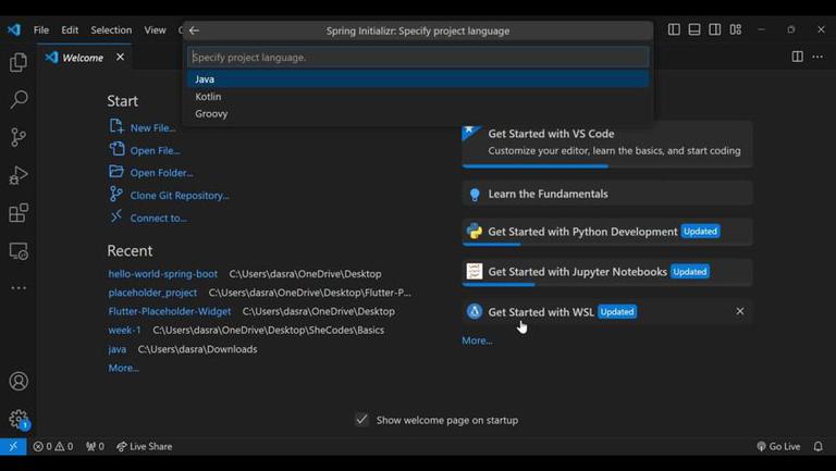How to Create and Setup Spring Boot Project in VSCode? - GeeksforGeeks