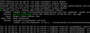 How to Start or Run Docker Daemon - GeeksforGeeks