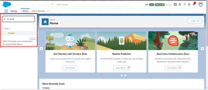 Profiles and Permission Sets in Salesforce - GeeksforGeeks