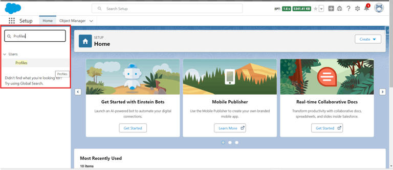 Profiles and Permission Sets in Salesforce - GeeksforGeeks