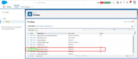 Profiles and Permission Sets in Salesforce - GeeksforGeeks