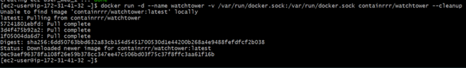 How to Automate Docker Container Updates? - GeeksforGeeks
