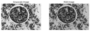 How to convert a grayscale image to RGB in OpenCV - GeeksforGeeks