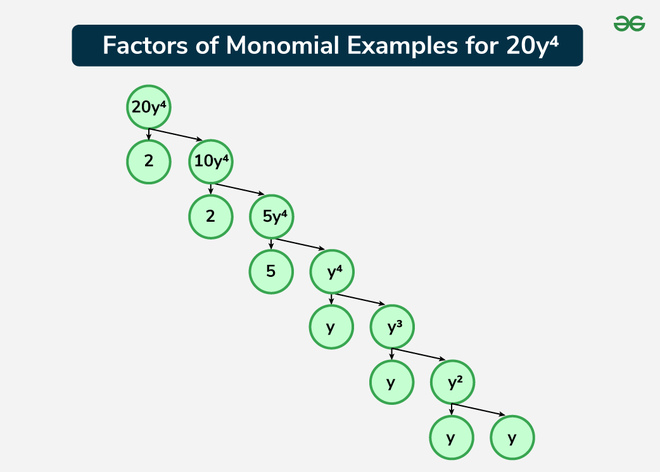 What is Monomial? | GeeksforGeeks