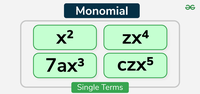 What is Monomial? - GeeksforGeeks