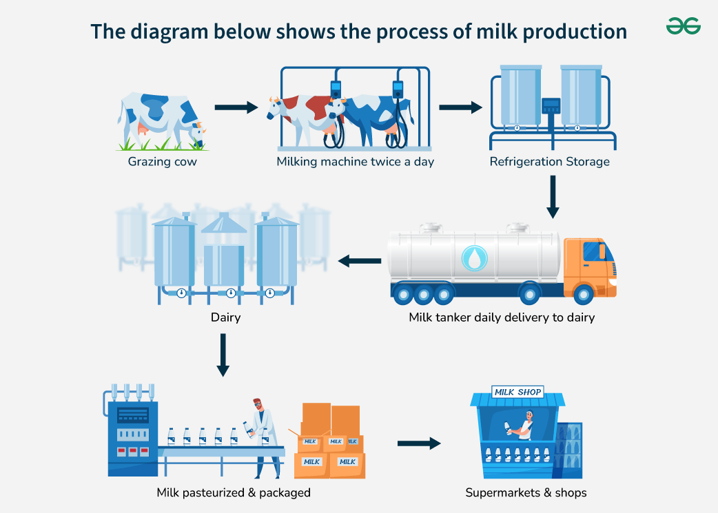 IELTS Practice Test: Download Full- Length Free Test - 55 - GeeksforGeeks