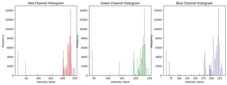 RGB Color Model in Python - GeeksforGeeks