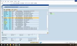 What is SAP NetWeaver? Definition and Overview - GeeksforGeeks