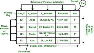 CBSE Class 12th Computer Science Unit 3 Notes: Database Management ...