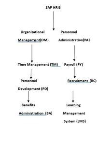 A Complete Guide to SAP HRIS. - GeeksforGeeks