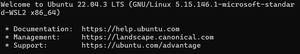 How to Install Consul Server on Ubuntu 22.04 - GeeksforGeeks
