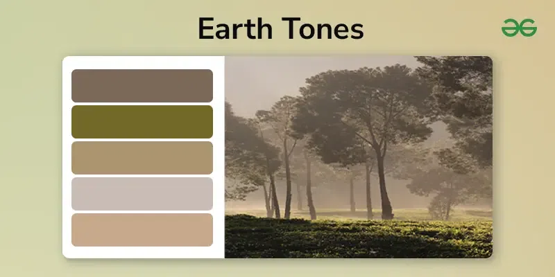 Top Color Trends for 2024 - GeeksforGeeks