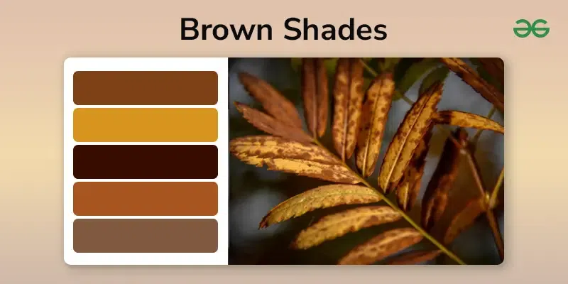 Top Color Trends for 2024 - GeeksforGeeks