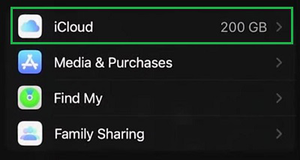 How to Use iCloud Keychain to Manage Your Passwords? - GeeksforGeeks