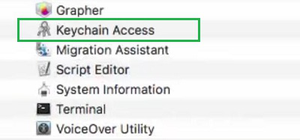 How to Use iCloud Keychain to Manage Your Passwords? - GeeksforGeeks