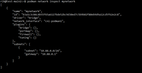 Configuring Container Networking with Podman - GeeksforGeeks