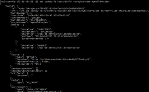 AWS CLI for Continuous Integration - GeeksforGeeks