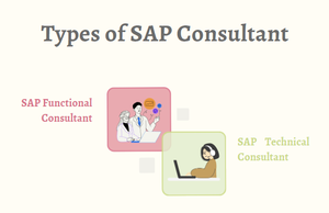 SAP Consultant | Introduction, Types, and Salary - GeeksforGeeks