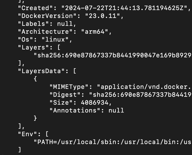 Using Skopeo for Container Image Inspection and Transfer - GeeksforGeeks