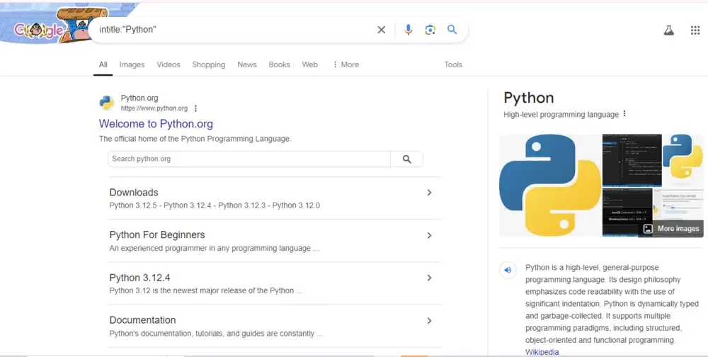 Perform Case Sensitive Search with Google - GeeksforGeeks
