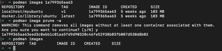 How to Manage Podman Images Effectively - GeeksforGeeks