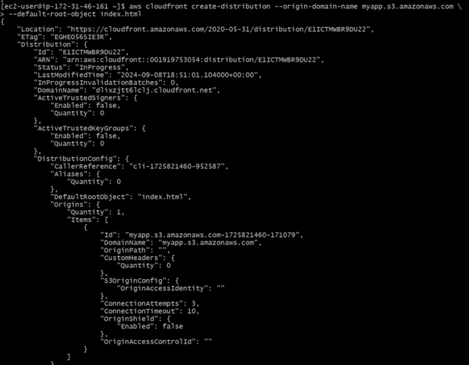 AWS CLI for Edge Computing - GeeksforGeeks