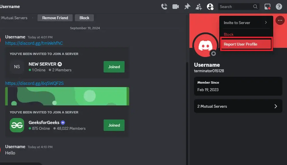 How to Report Someone on Discord - GeeksforGeeks