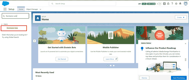 Profiles and Permission Sets in Salesforce - GeeksforGeeks